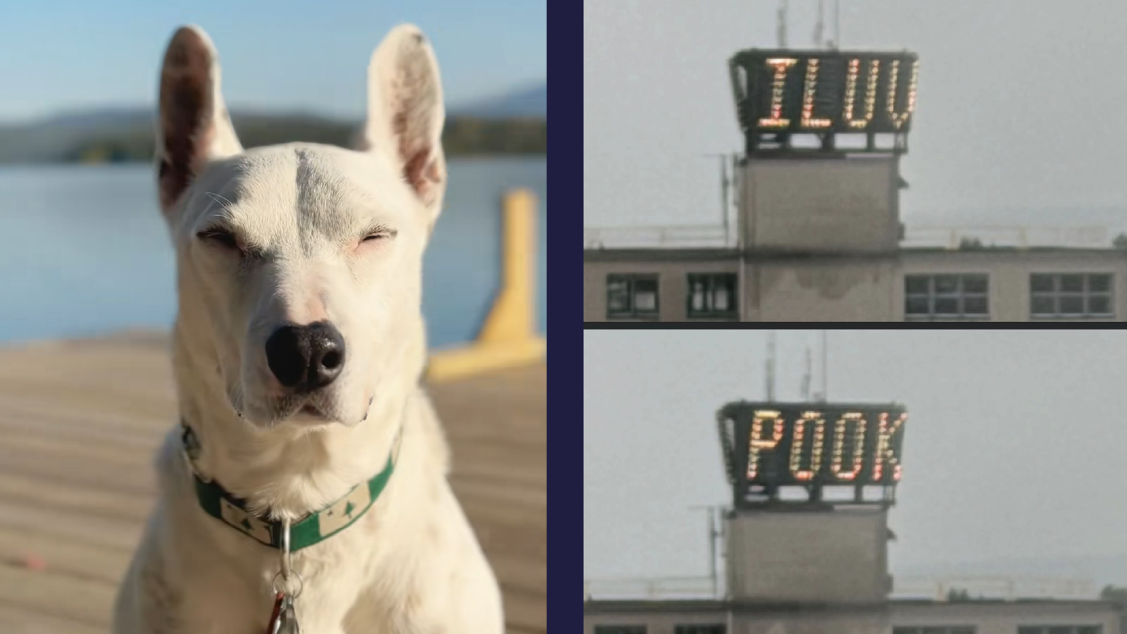 ‘I Love Pook’: Portland’s Time and Temperature Sign Lights Up With ...